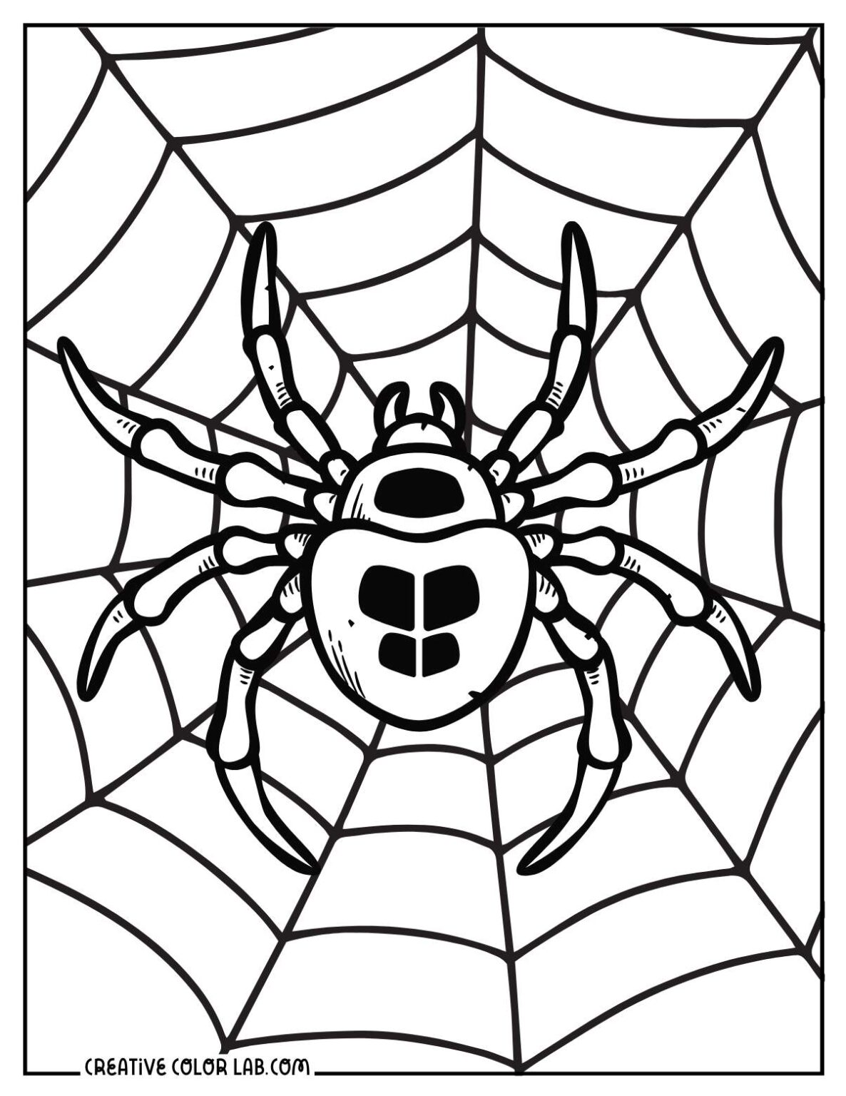Free, Printable Tarantula Coloring Pages