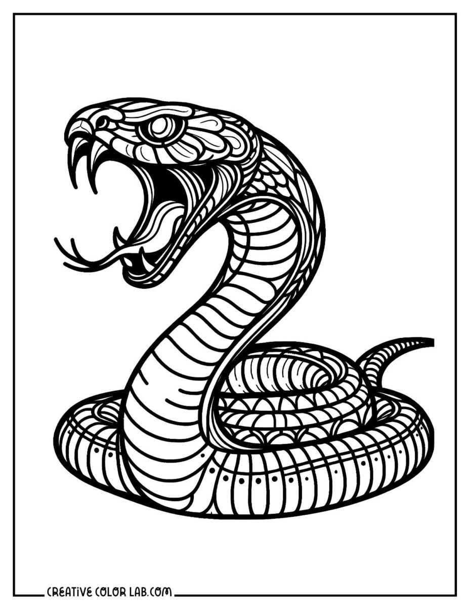 Printable Snake Coloring Pages | Free PDFs to Download