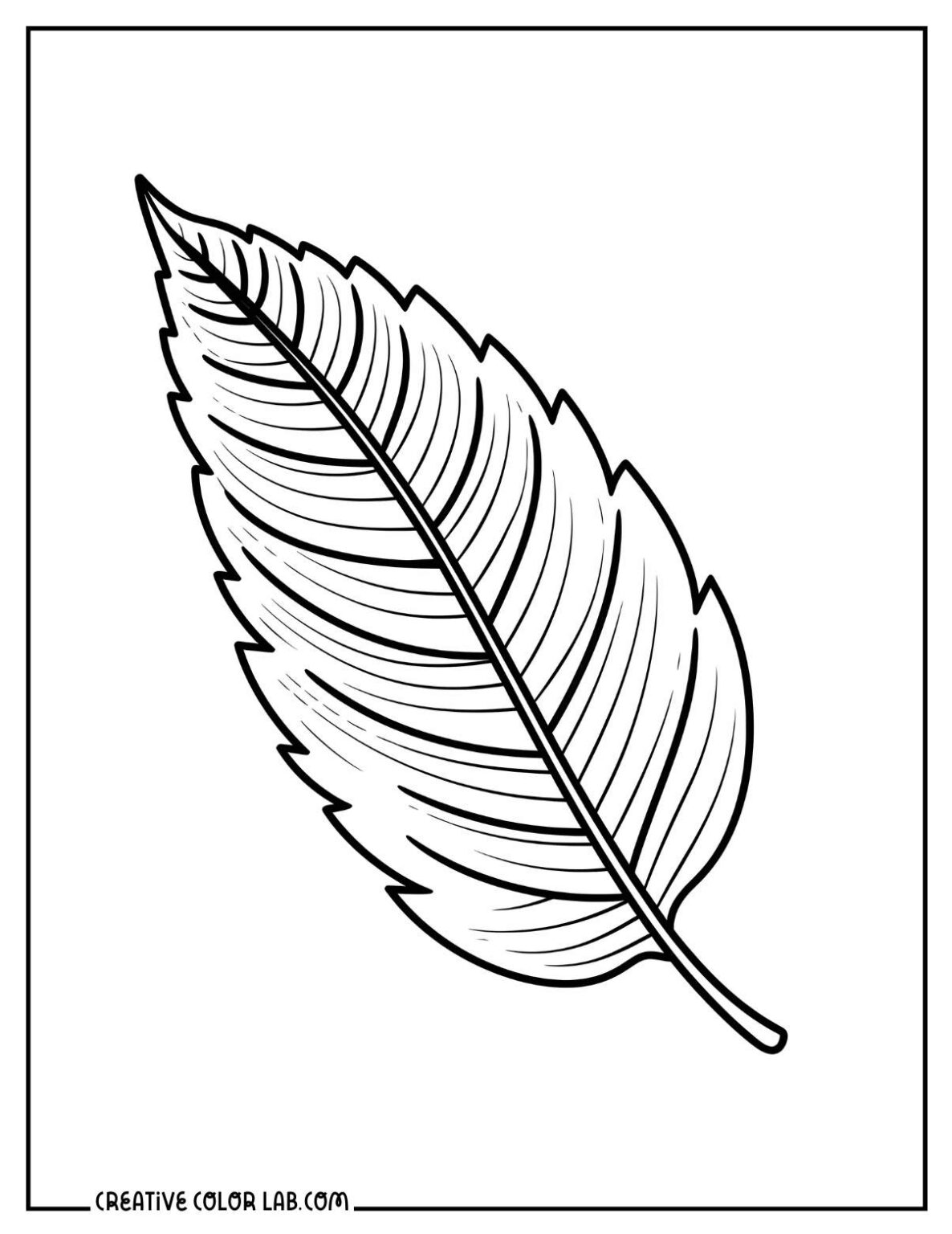 34 Printable Fall Leaves Coloring Pages | Free PDF Downloads