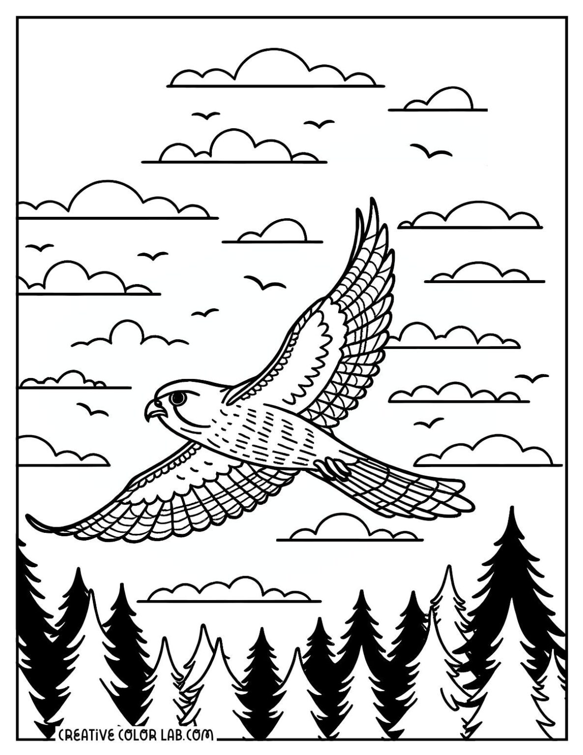 Free Falcon Coloring Pages | PDF Printables