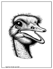 10 Ostrich Coloring Pages | Free PDF Printables
