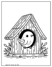 Printable Bird Coloring Pages | Free PDFs