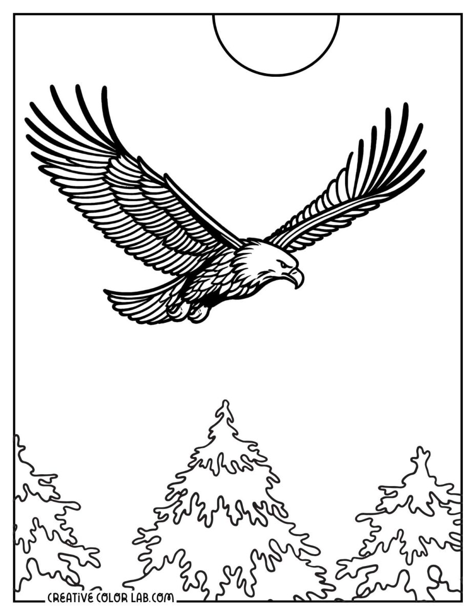 Printable Bird Coloring Pages | Free PDFs
