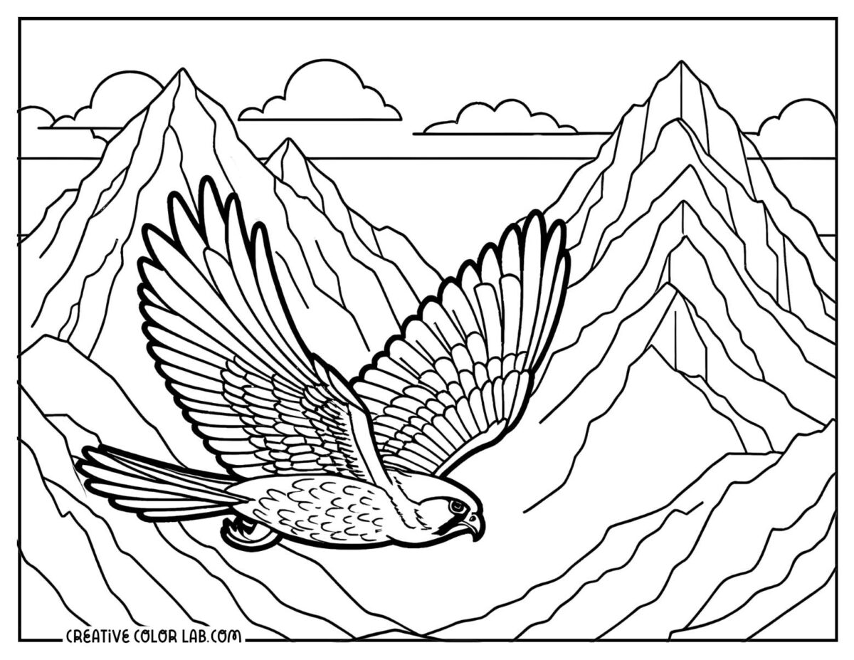 Free Falcon Coloring Pages | PDF Printables