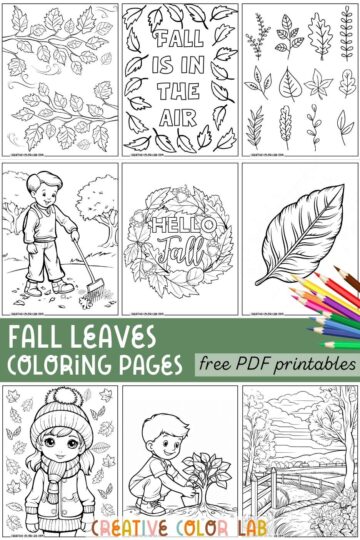 34 Printable Fall Leaves Coloring Pages | Free PDF Downloads