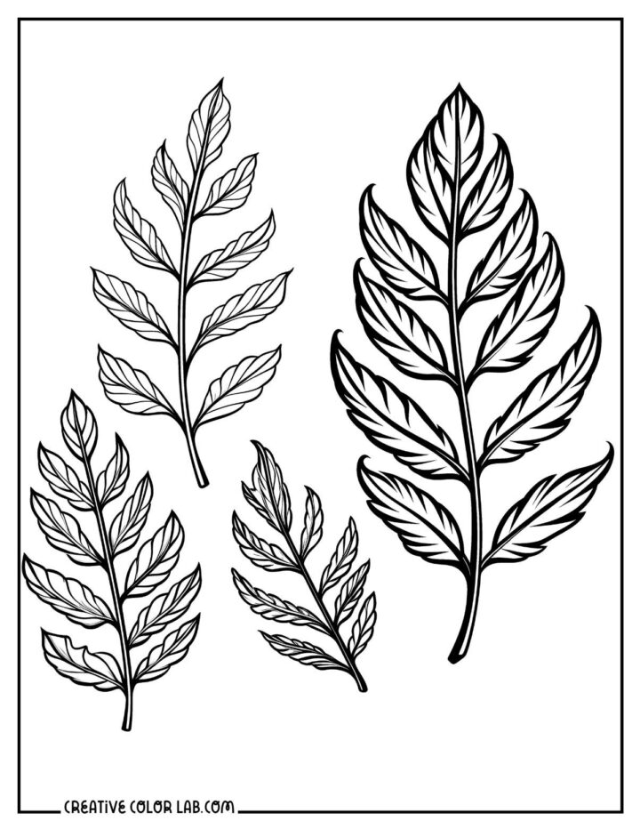 34 Printable Fall Leaves Coloring Pages | Free PDF Downloads