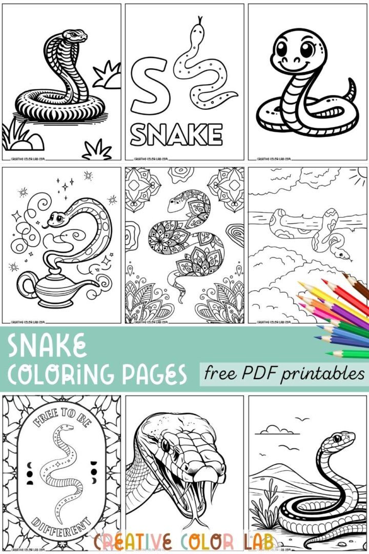 Printable Snake Coloring Pages | Free PDFs to Download