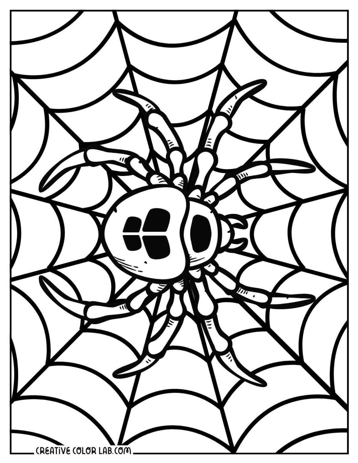 Spider Coloring Pages for Halloween + Beyond