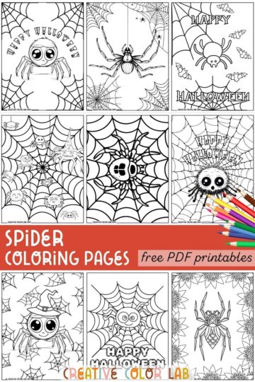 Spider Coloring Pages for Halloween + Beyond