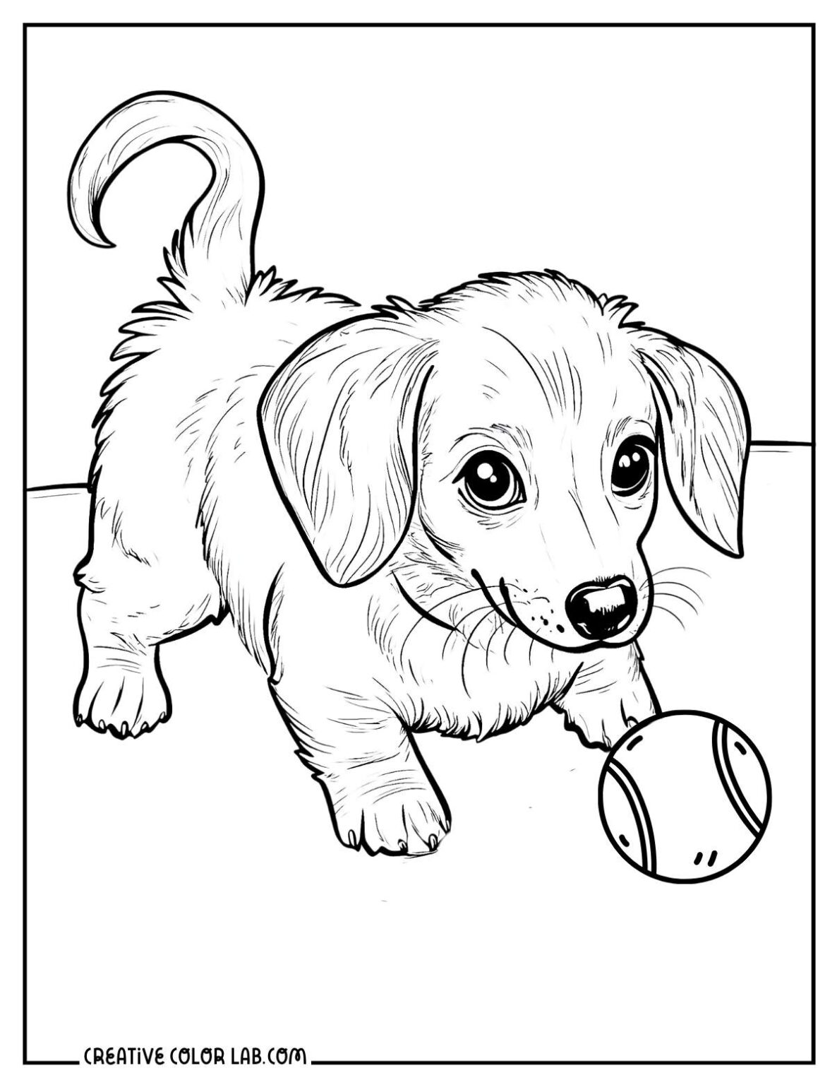 Printable Dog Coloring Pages | Free PDF Downloads